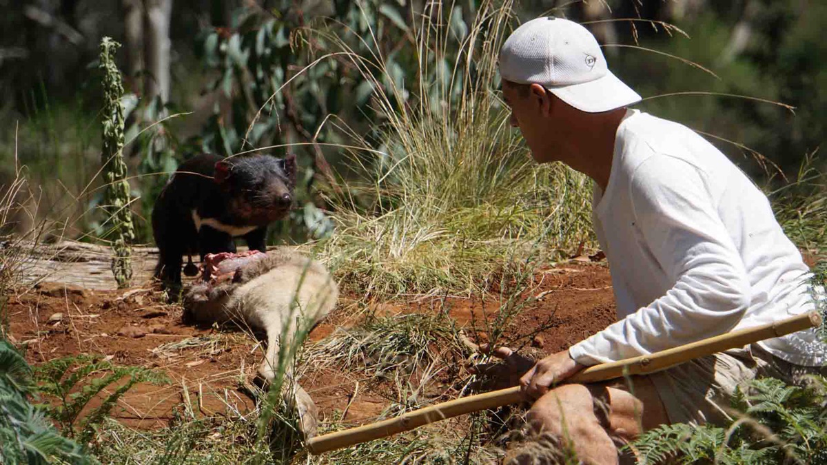 ‎Episode 5 - Wild Frank (Series 7, Episode 5) - Apple TV (CR)