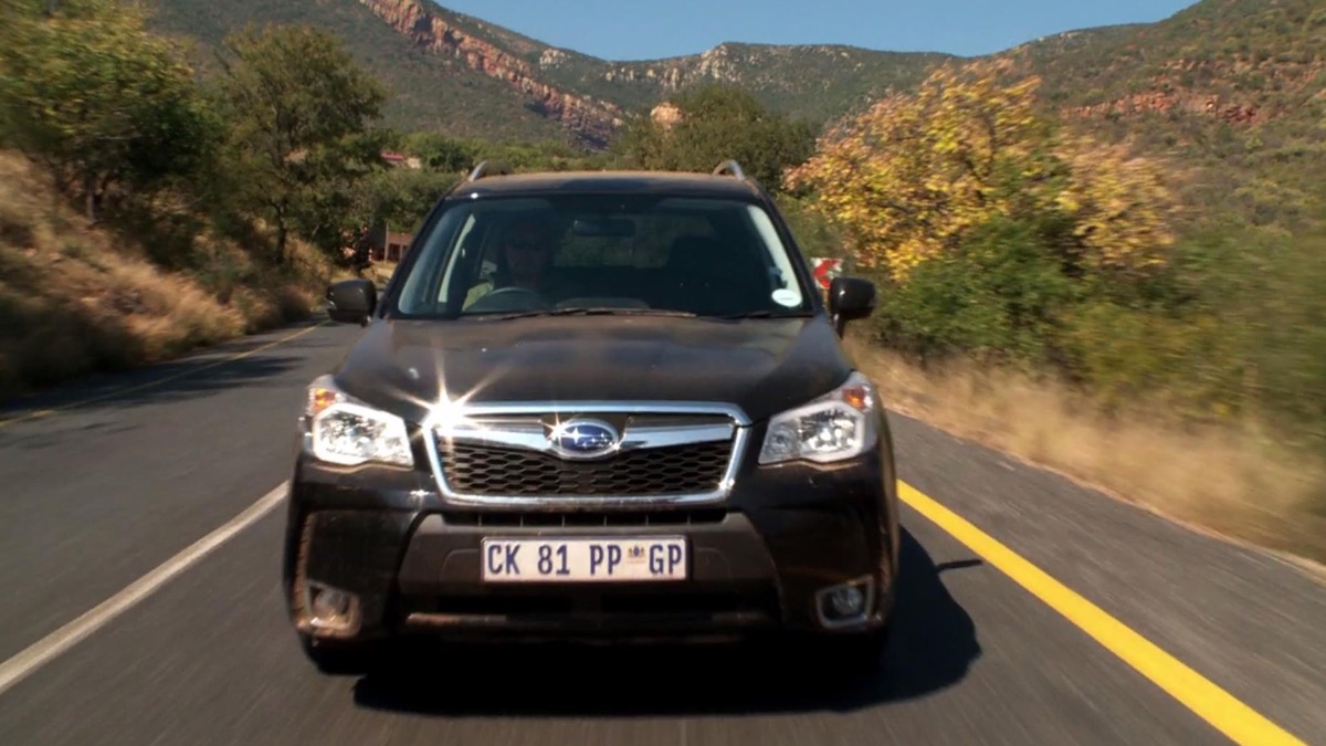 Showdown in Africa! 2014 Subaru Forrester 2.0XT Takes on Rare White ...