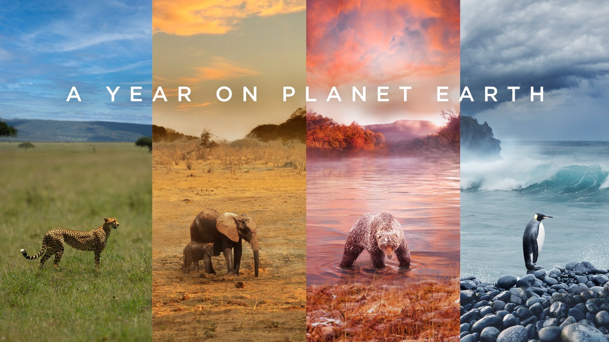 ‎A Year on Planet Earth —Apple TV