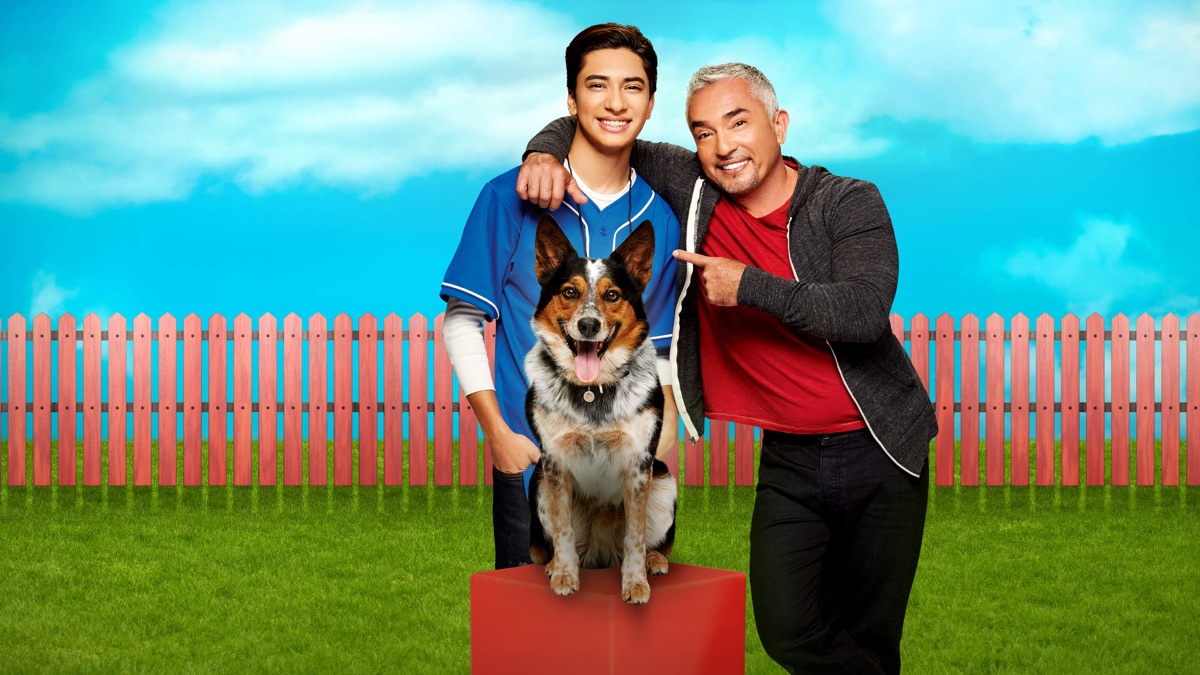 Mutt & Stuff - Apple TV