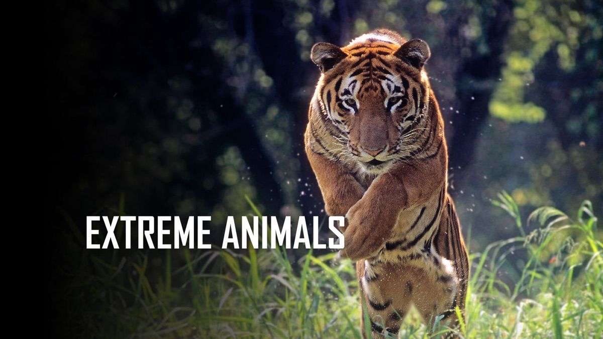 EXTREME ANIMALS - Apple TV (IT)