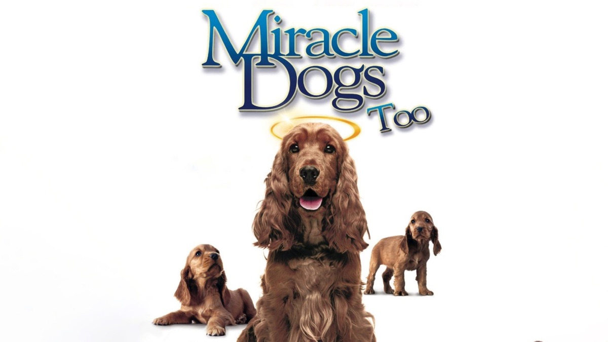 Miracle Dogs Too - Apple TV