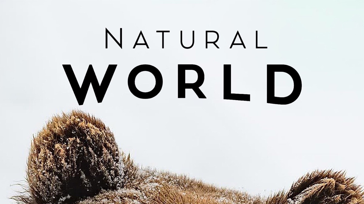 ‎Natural World - Apple TV