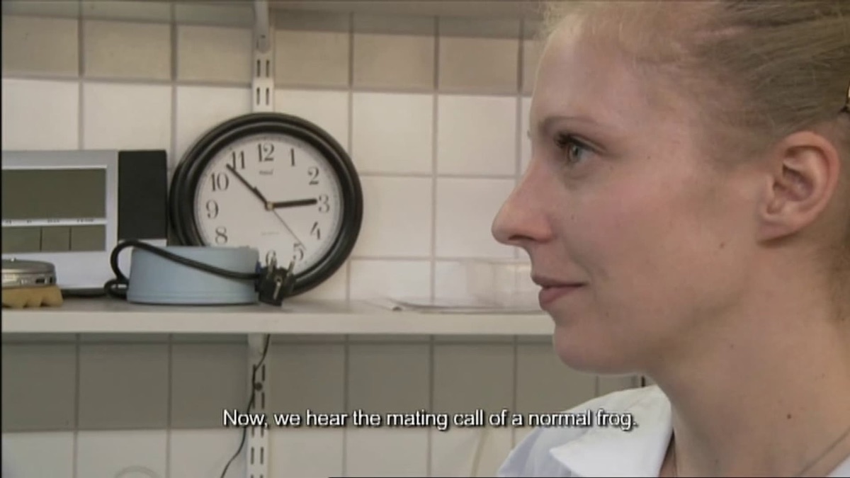 The Pill: Atom Bomb of Contraception - Apple TV