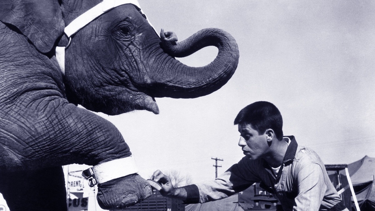 Three Ring Circus - Apple TV