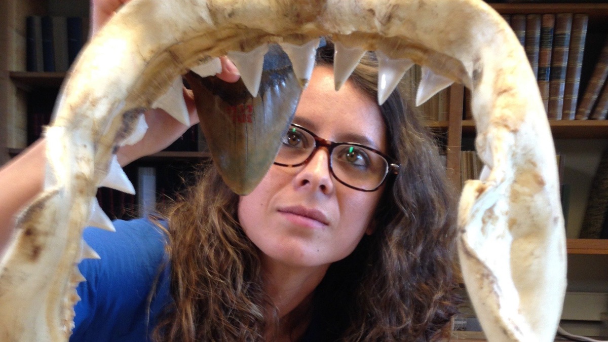 Monsters Resurrected - Apple TV (AT)