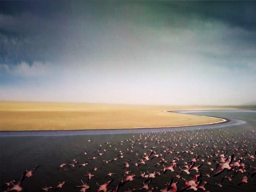 Africa's Deadly Lake - Apple TV