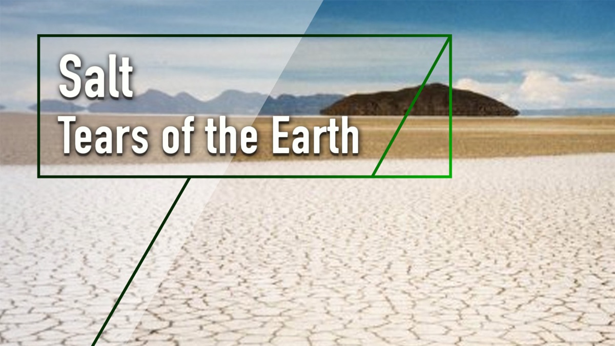 ‎Salt - Tears of the Earth - Apple TV