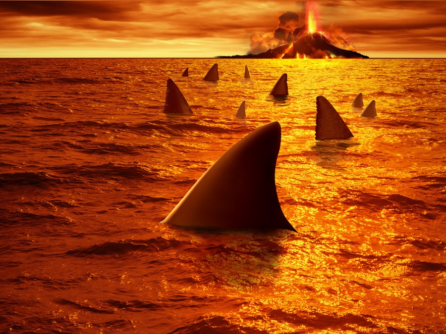 Sharkcano - Apple TV