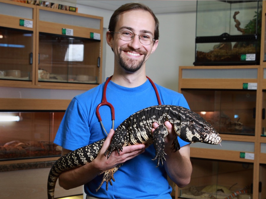 Vet on the Loose - Apple TV