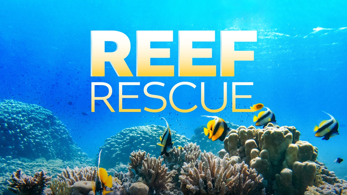 Reef Rescue - Apple TV