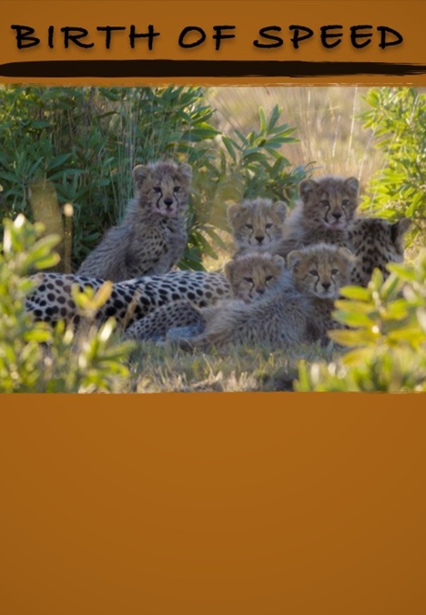 Birth of Speed - Apple TV