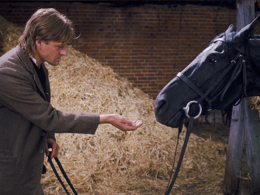 Black Beauty - Apple TV (ID)