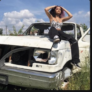 Am I Dreaming - Metro Boomin, A$AP Rocky & Roisee: Song Lyrics, Music ...