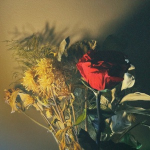 Kappas (feat. Vxllaxn) - Black Picassoo: Song Lyrics, Music Videos ...