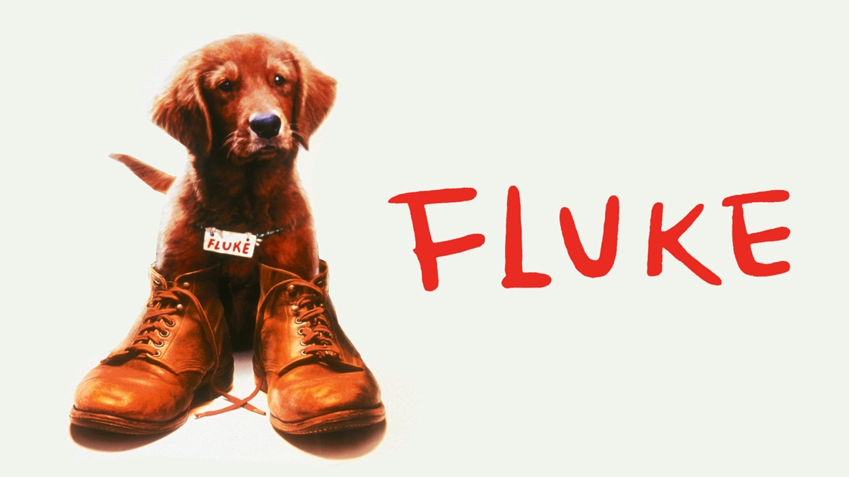 ‎Fluke - Apple TV