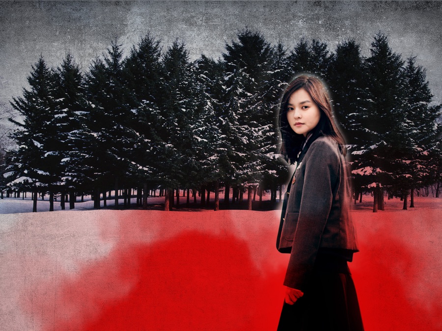 Steel Cold Winter - Apple TV