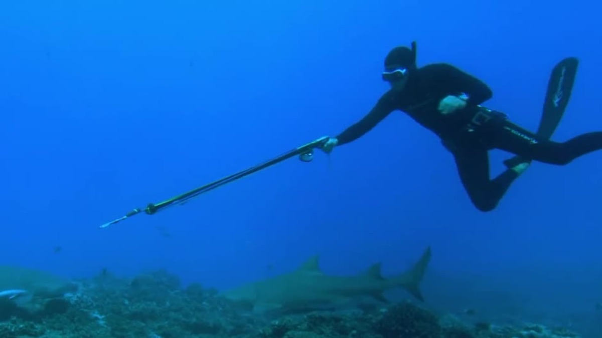 Adventure Ocean Quest - Apple TV