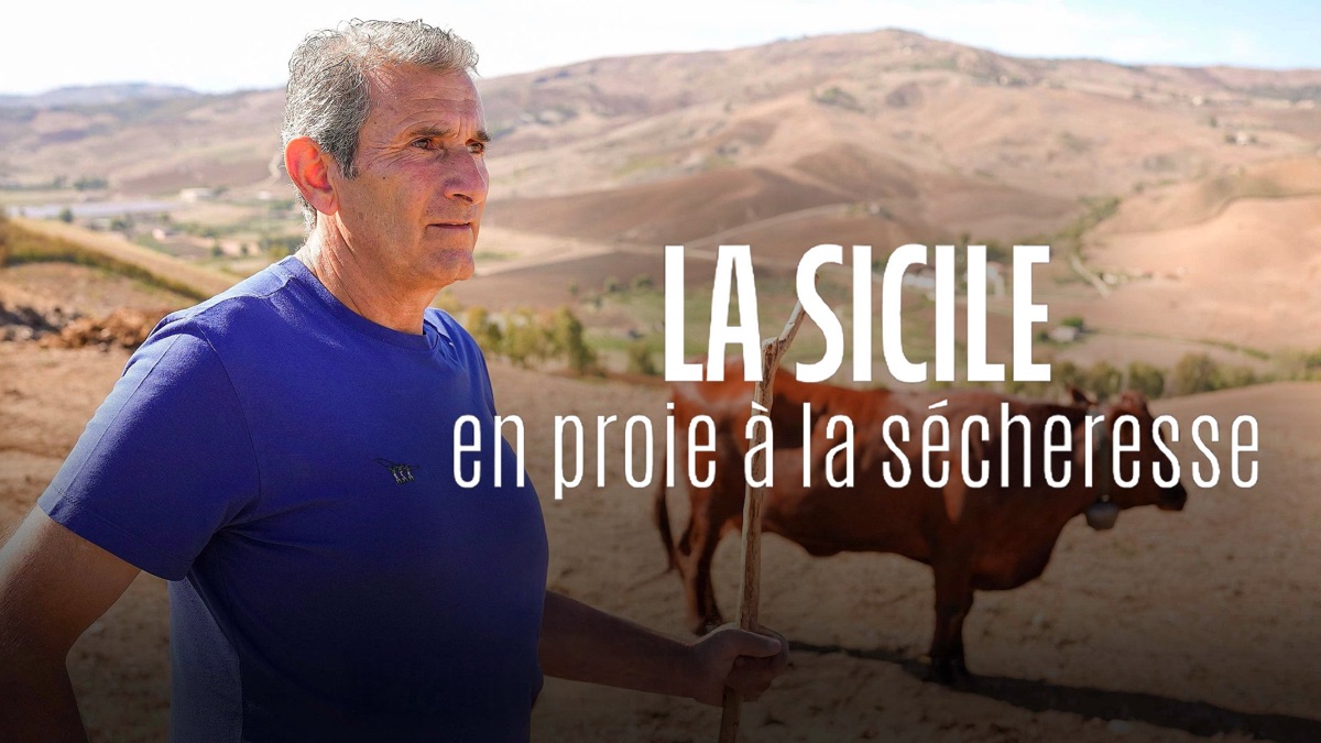 ‎La Sicile en proie à la sécheresse - Apple TV