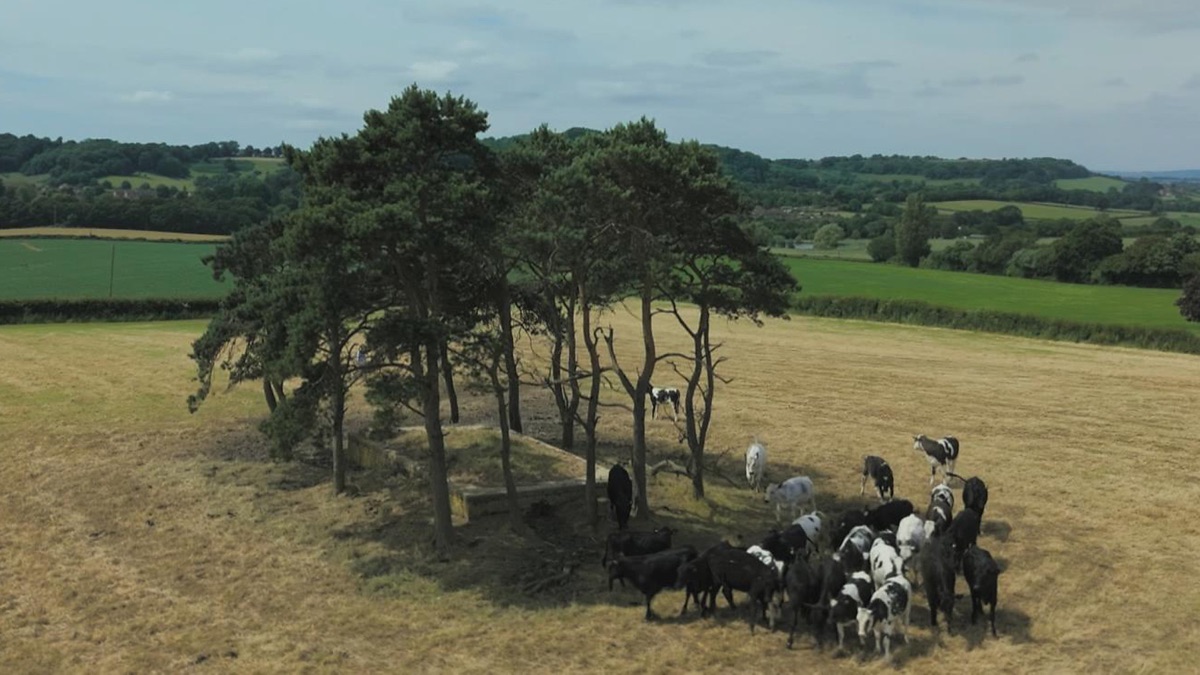 ‎Adam's Farming Families - The Bakers - Countryfile - Apple TV (UK)