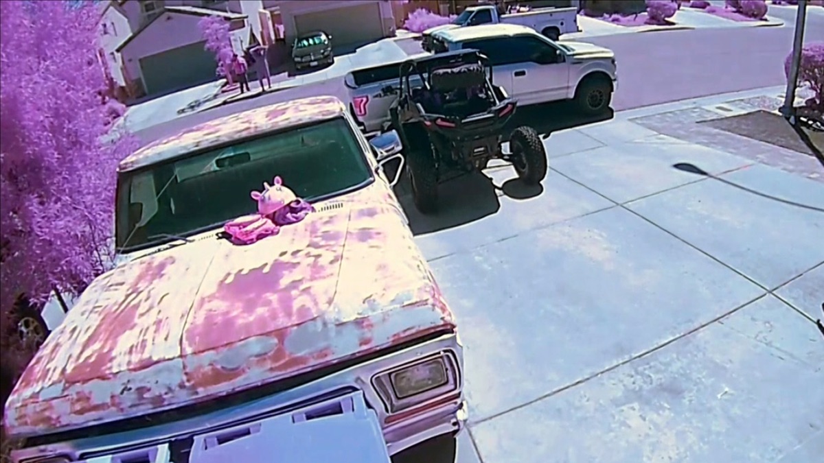 ‎Sterling and Lolo Wood CLXVI – Ridiculousness (Season 44, Episode 18 ...