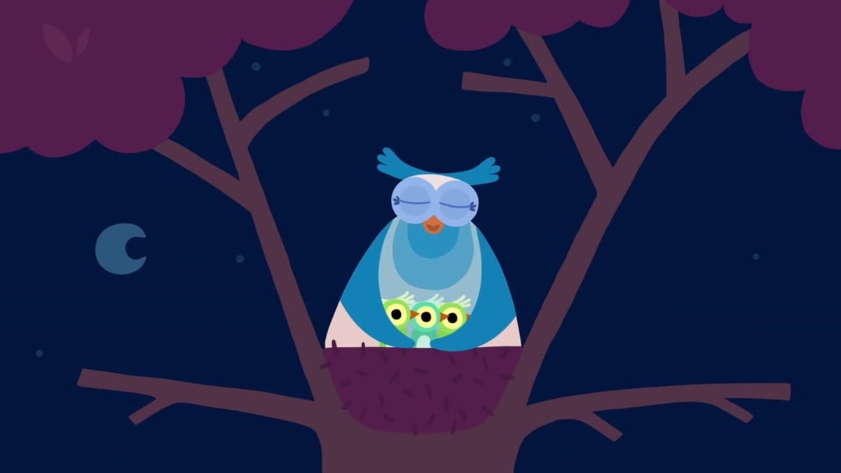 Owl - Animanimals (Season 2, Episode 19) - Apple TV