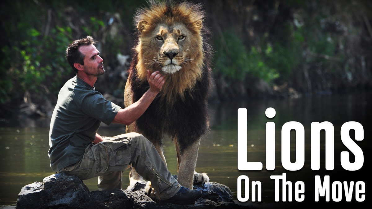 ‎Lions on the Move - Apple TV