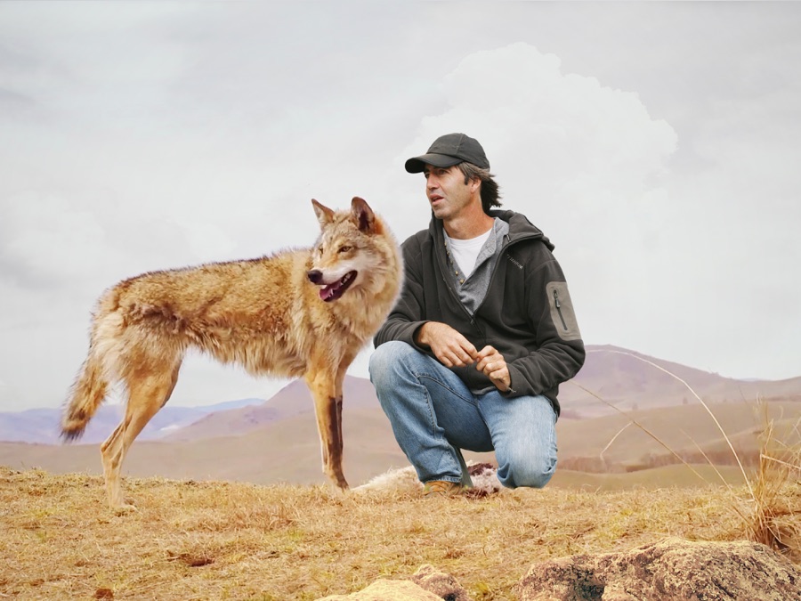 Wolves Unleashed - Apple TV