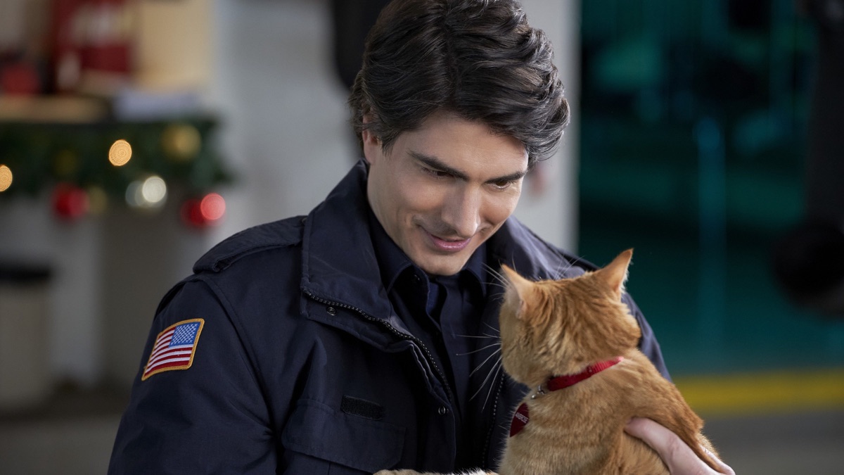 The Nine Kittens of Christmas - Apple TV