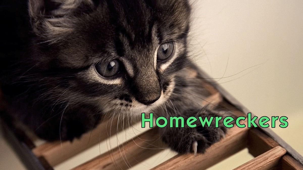 Homewreckers - Apple TV