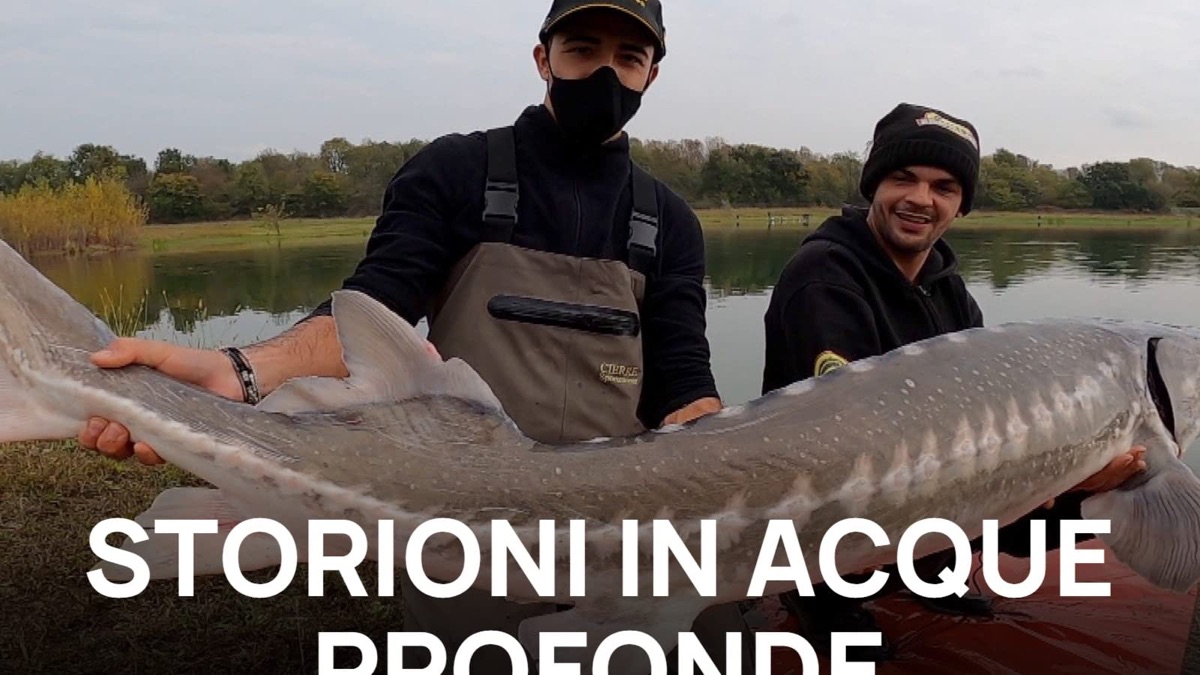 Storioni in acque profonde - Storione Academy (Stagione 1, Puntata 2 ...