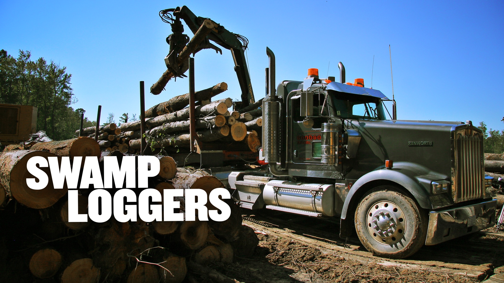 Swamp Loggers | Apple TV