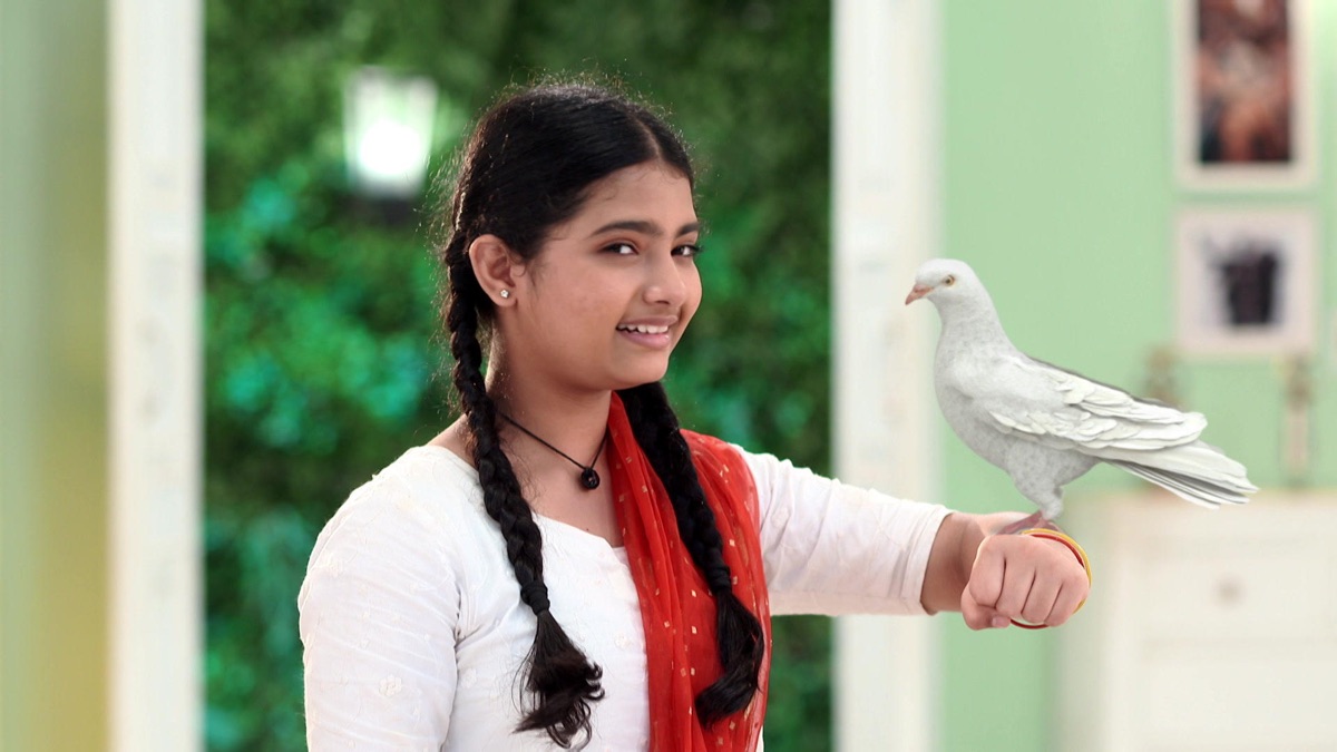 Khela's Grand Entry - Falna (Season 1, Episode 285) - Apple TV