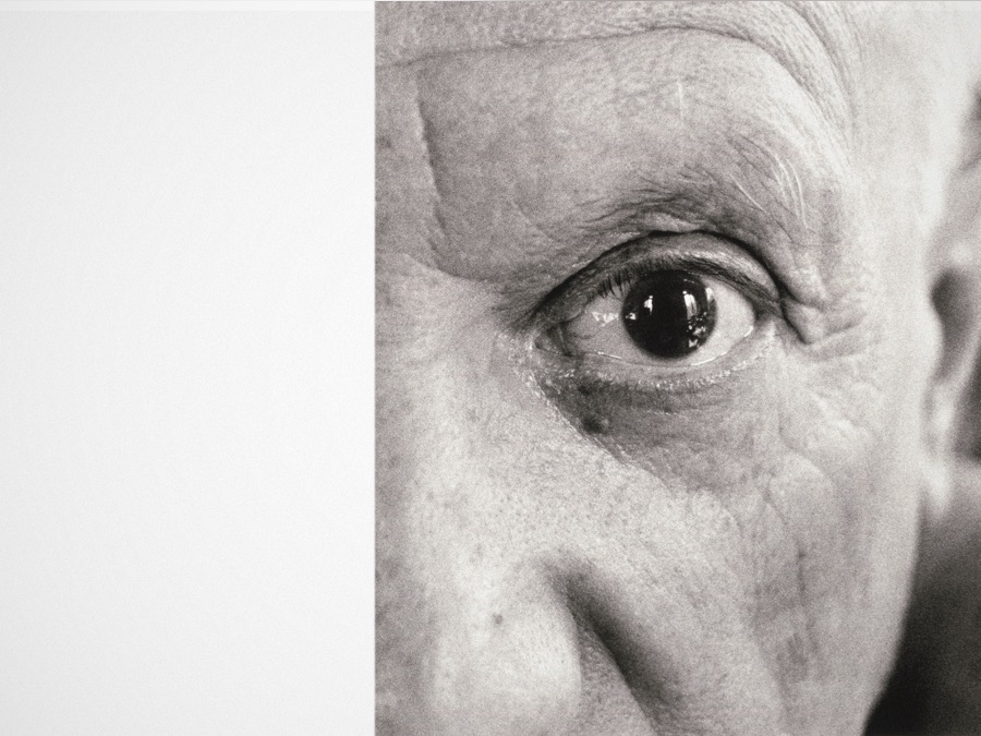 Picasso: The Beauty and the Beast - Apple TV