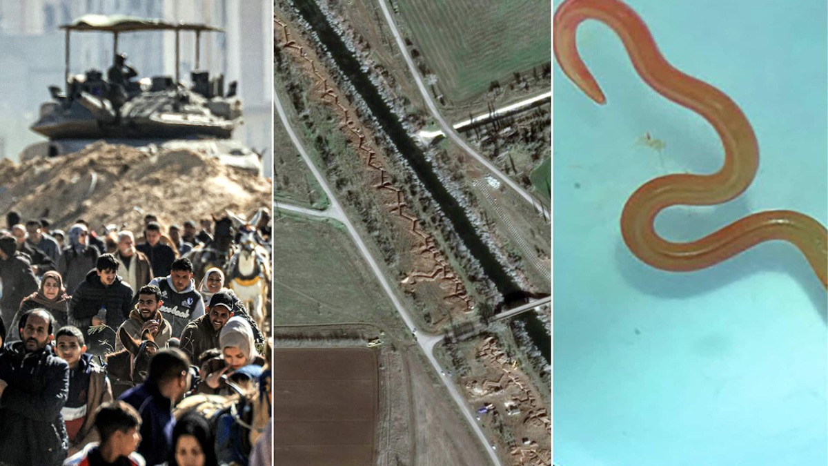 Gaza aid funding pause, Russia's strategy in Ukraine, brain worm ...