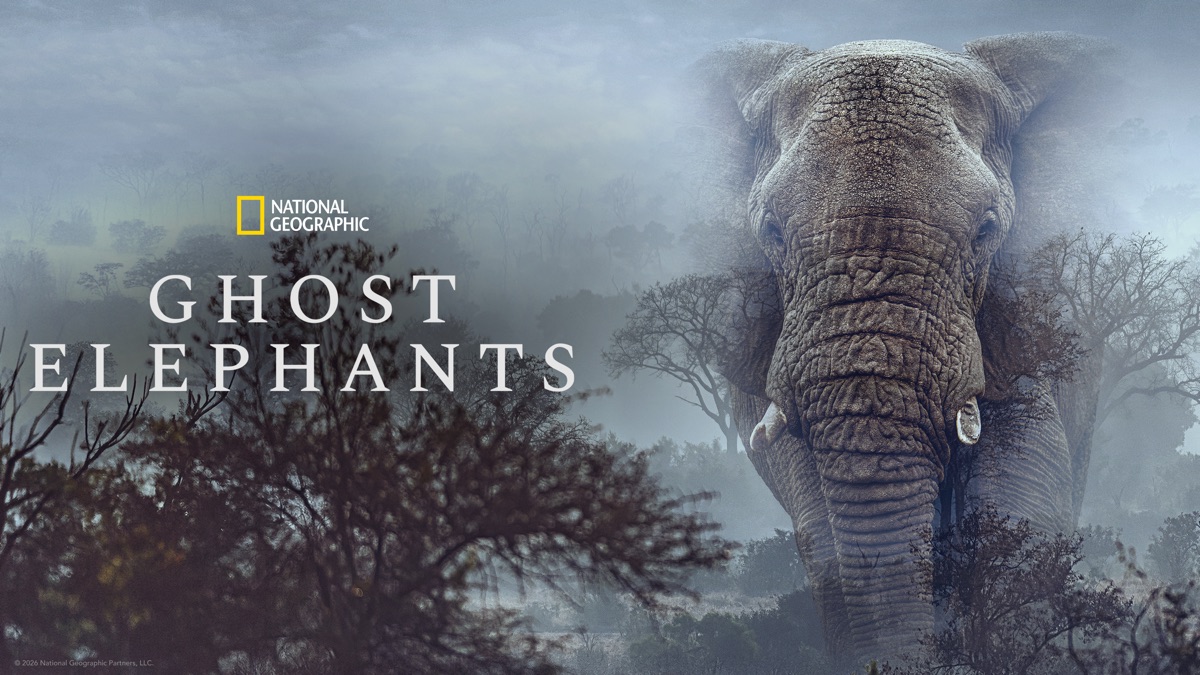 ‎Ghost Elephants - Apple TV