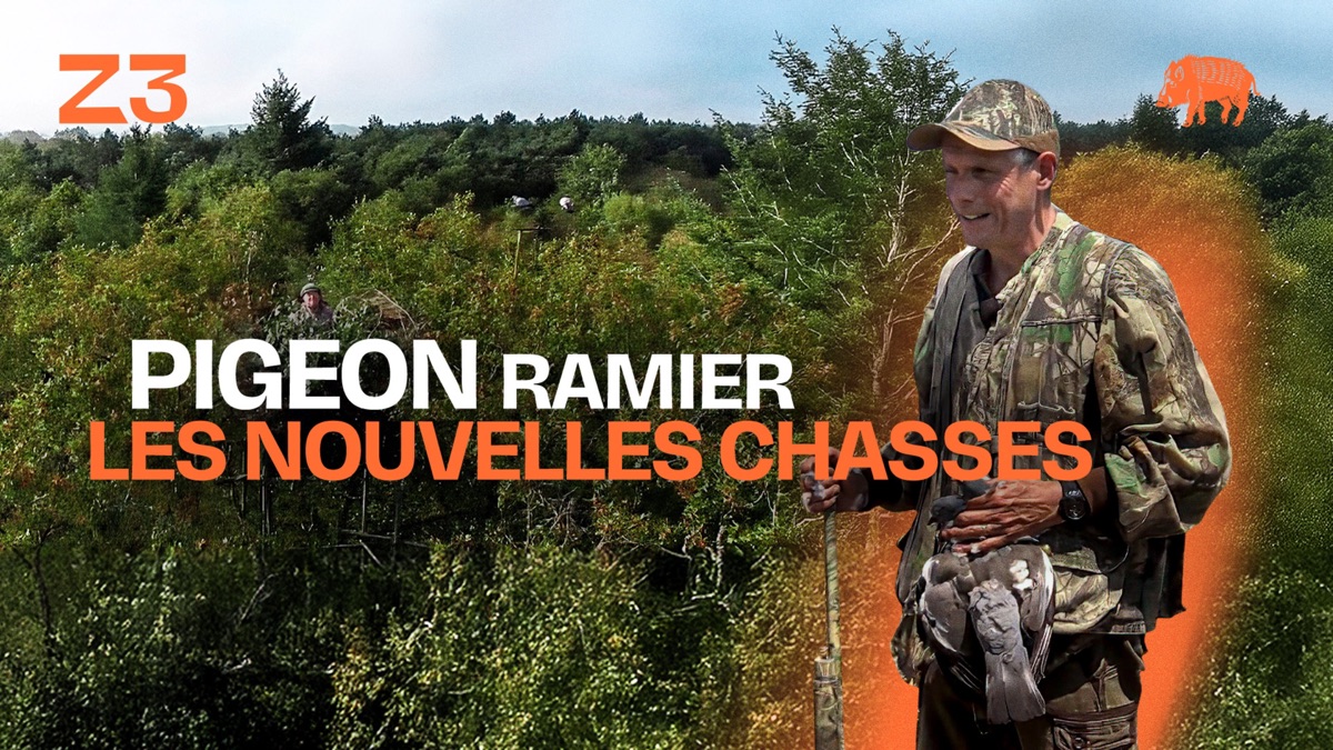 ‎PIGEON RAMIER LES NOUVELLES CHASSES - Apple TV