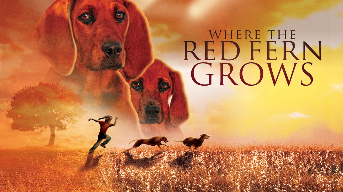 ‎Where the Red Fern Grows - Apple TV