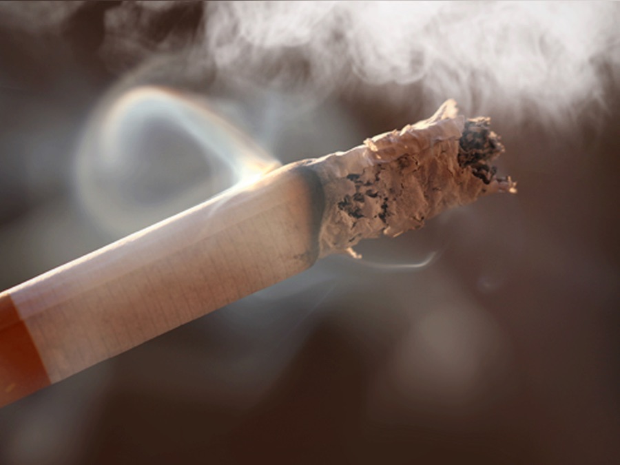 The Addictive Brain - Apple TV