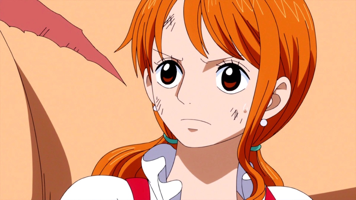 ‎Un duelo desgarrador. Luffy contra Sanji - One Piece (temporada 19 ...
