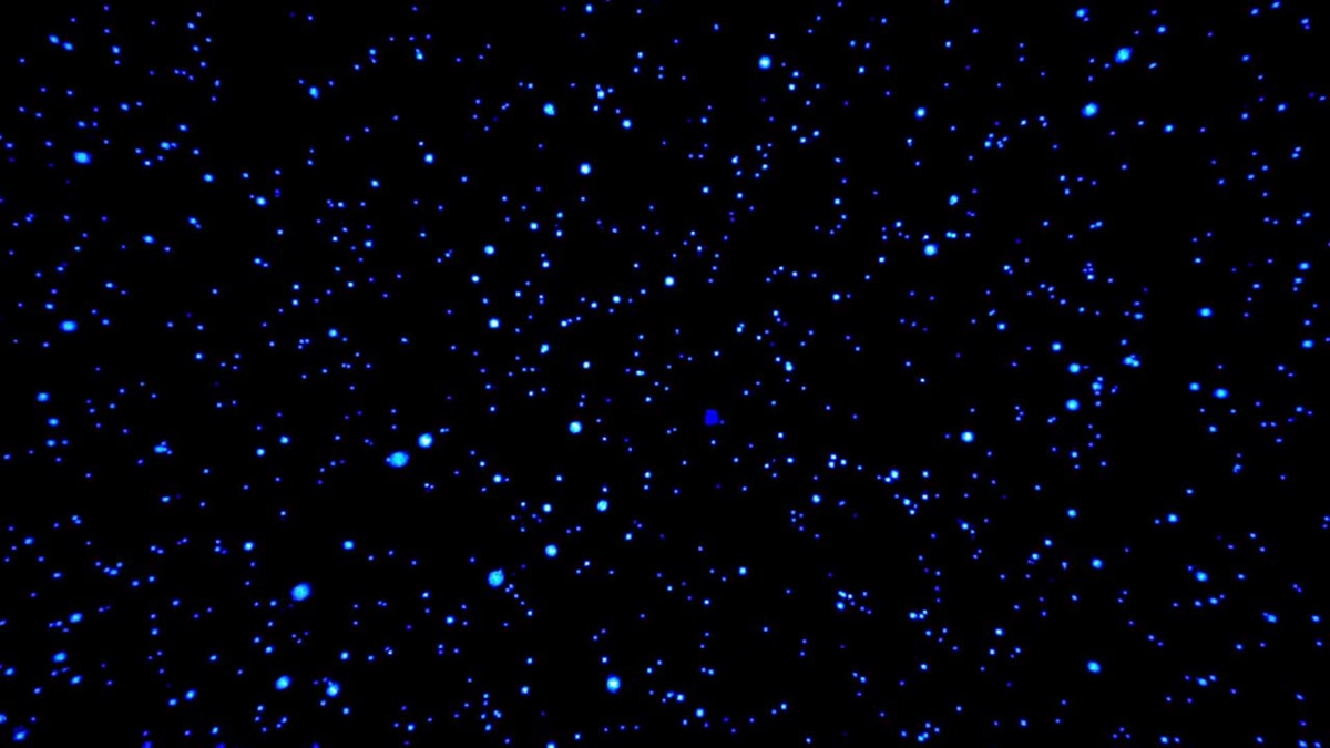 Classic Starfield - Apple TV