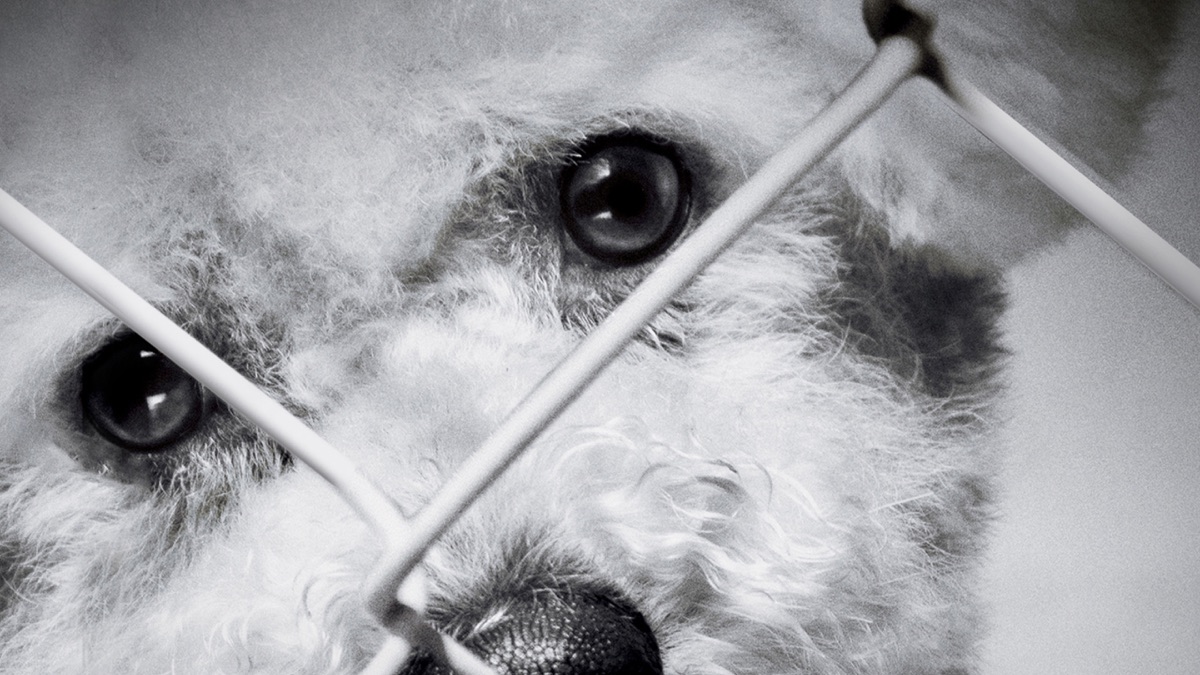 ‎One Nation Under Dog: Stories of Fear, Loss & Betrayal - Apple TV