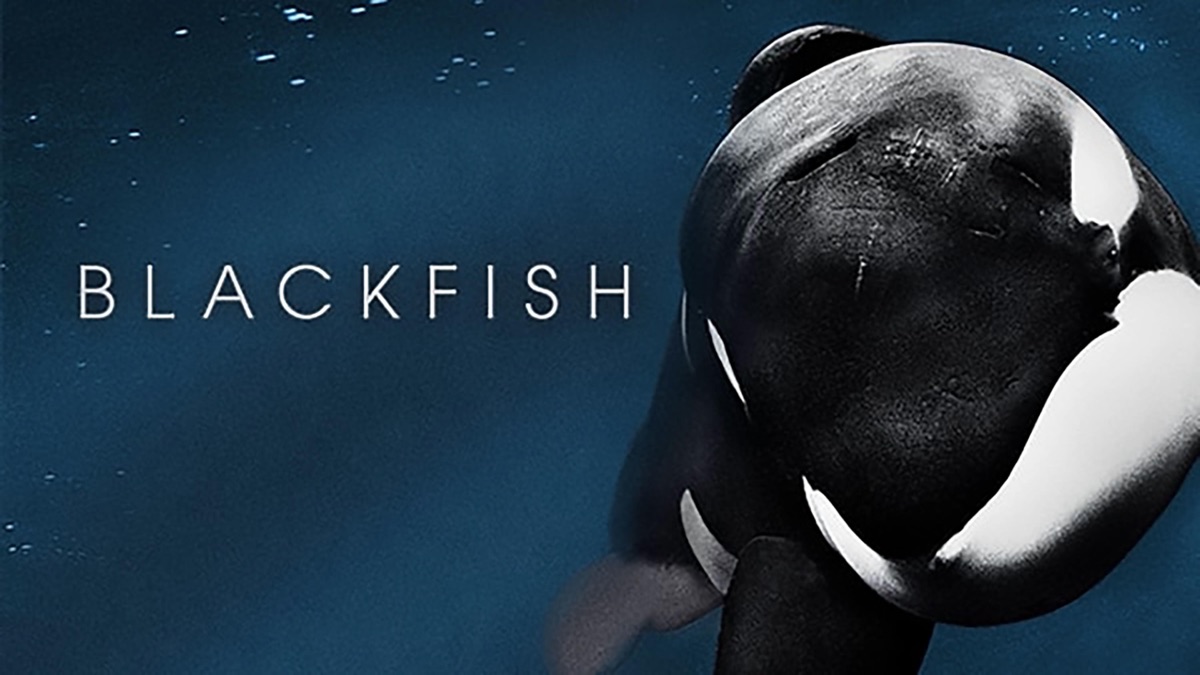 ‎Blackfish - Apple TV