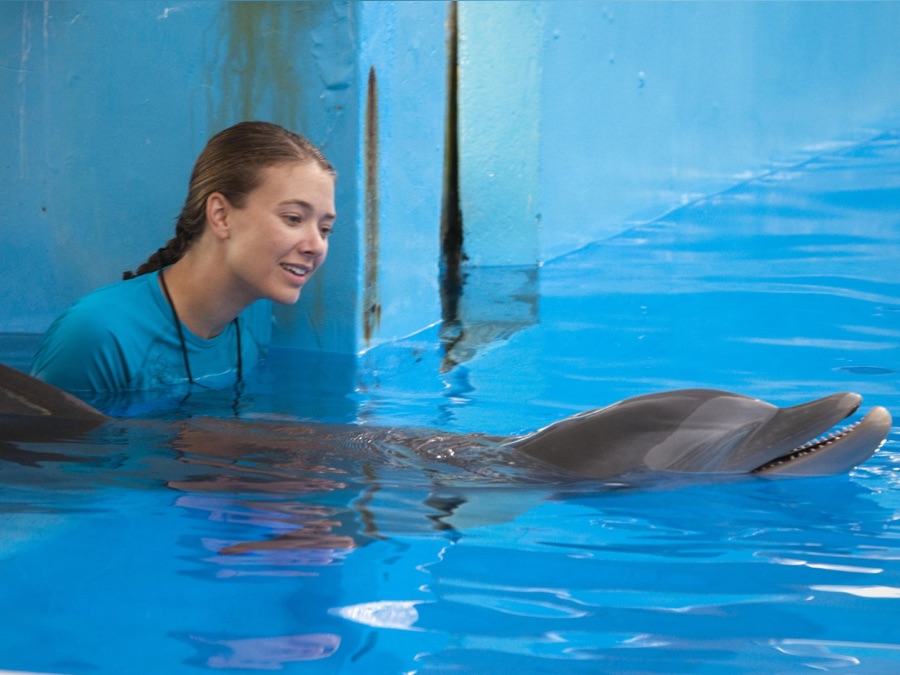 Dolphin Tale - Apple TV