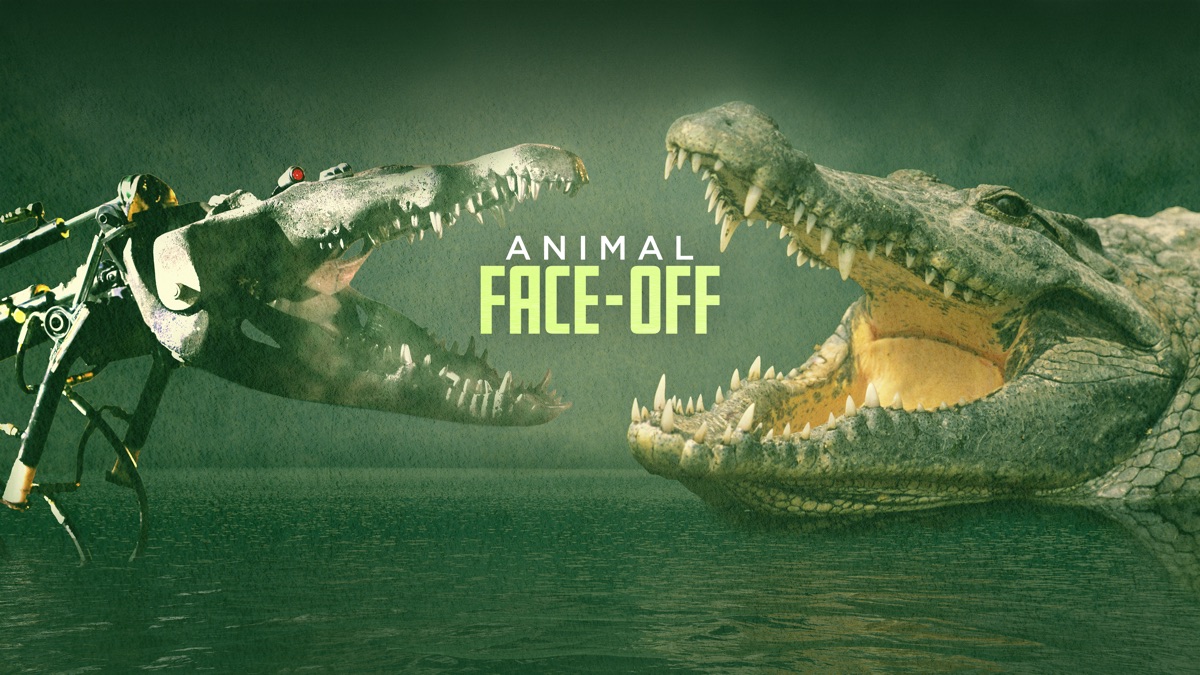 ‎Animal Face-Off - Apple TV