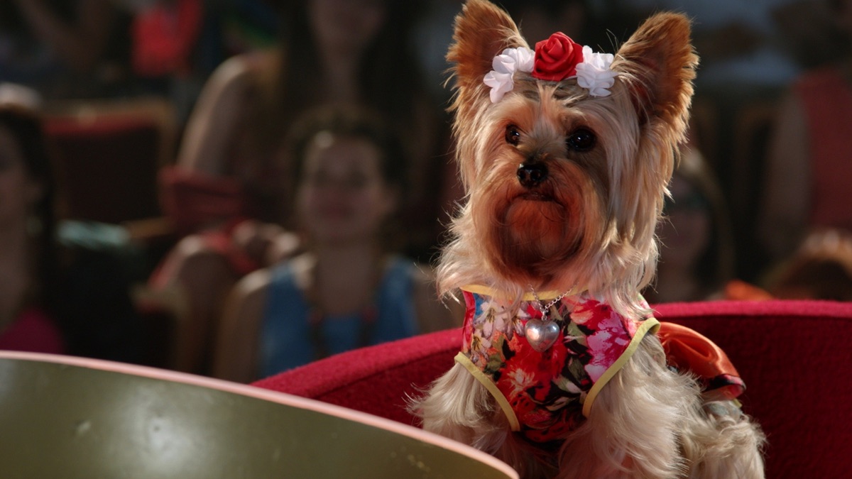 Pup Star: World Tour - Apple TV