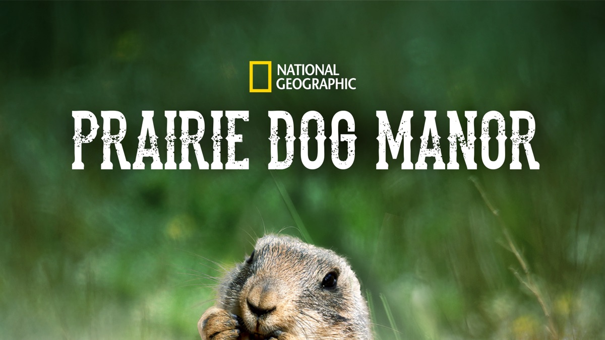 ‎Prairie Dog Manor - Apple TV
