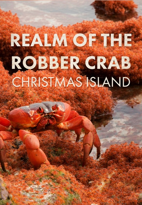 ‎Realm Of The Robber Crab - Christmas Island - Apple TV