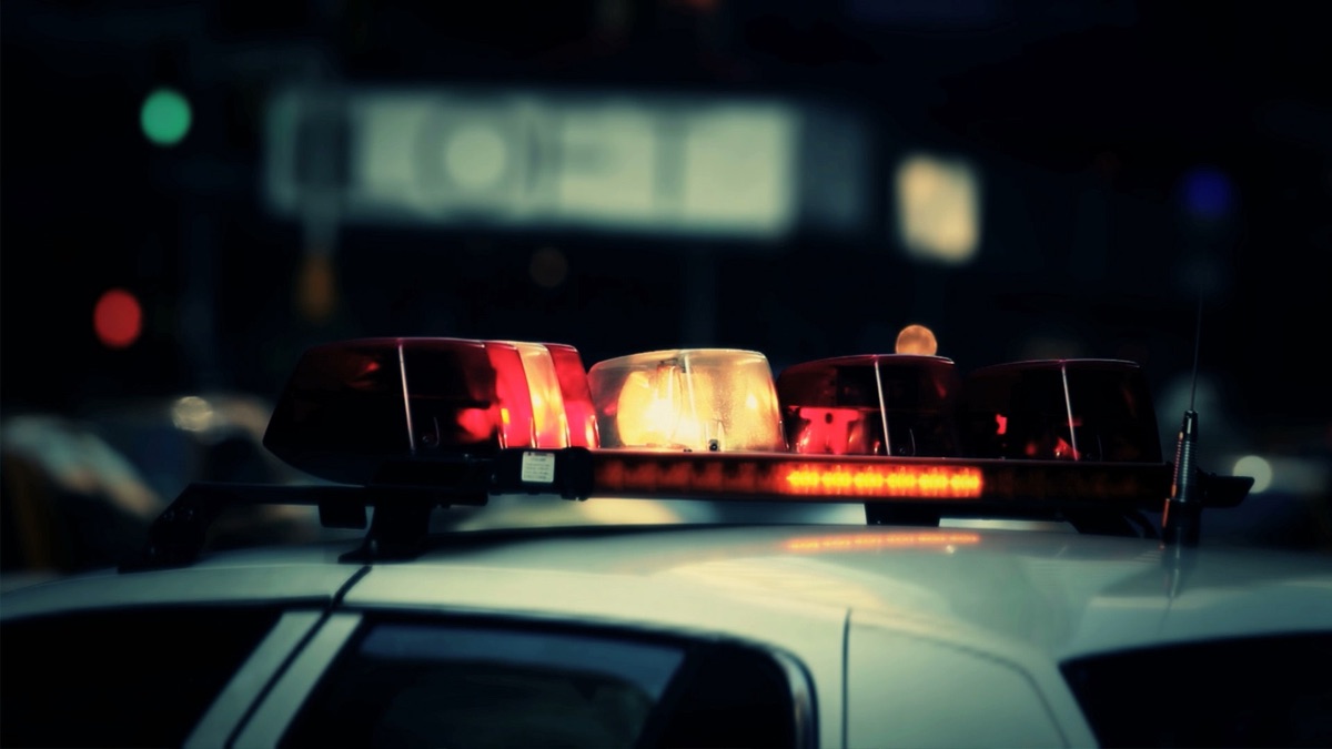 Warning shot - Cops (Season 15, Episode 34) - Apple TV