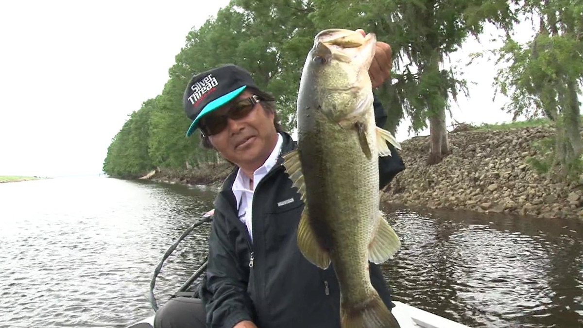 THE ANSWER 5 Game5 - Apple TV (日本)